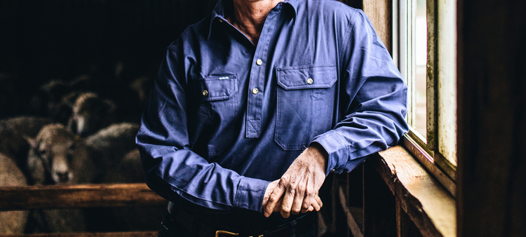 Canterbury Shorts | Australian Work Shirts | Clothing For Farmers ...