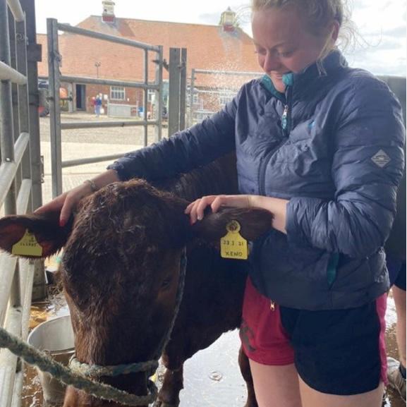 Pink and Navy Canterbury Shorts | Clothing for Farmers | CCC Shorts